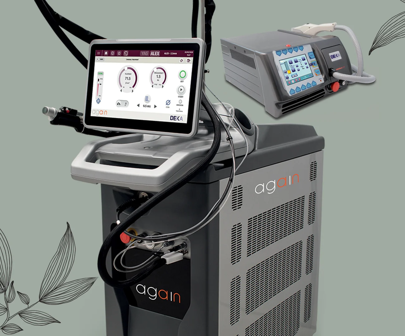 Main Home | Healthy Look